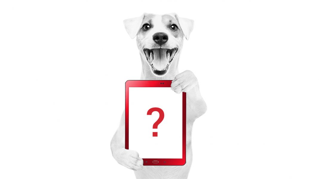 What is API Governance and Why Does It Matter? Definition + Framework